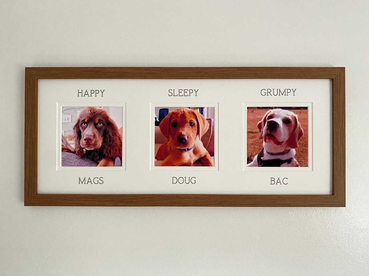 Landscape Pet Dogs Multipicture Frame | Azana Photo Frames
