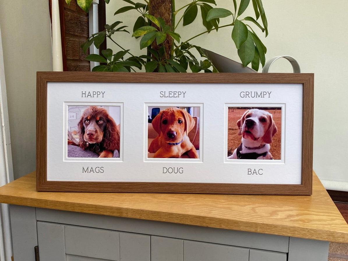 Landscape Pet Dogs Multipicture Frame | Azana Photo Frames